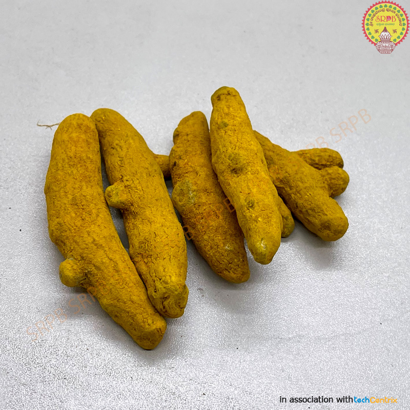 Arishina Beru | Turmeric Root | Obbi Stick | Whole Turmeric 100gm for ...